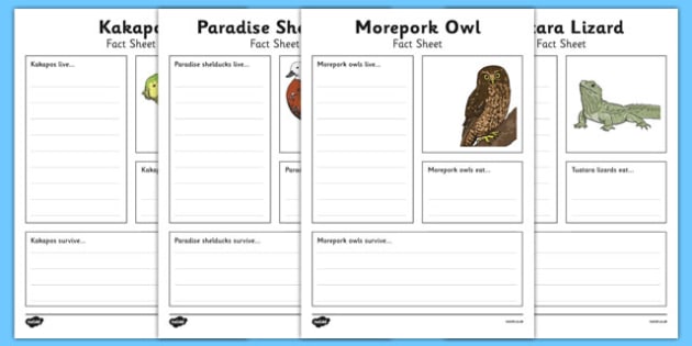 New Zealand Animals Fact File Worksheet / Worksheets, worksheet