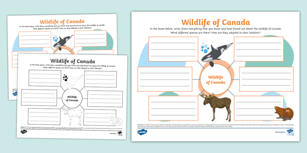 Wildlife Mind Maps | twinkl.com.au