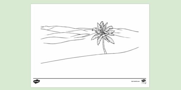 FREE! - Desert Colouring Page | Colouring Sheets