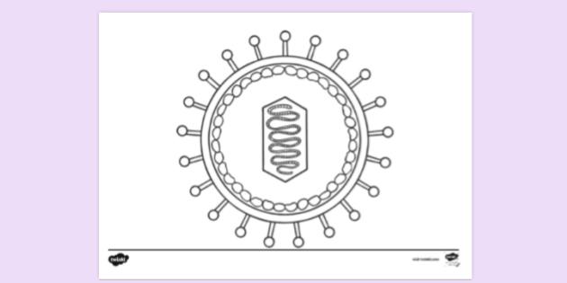 FREE! - Virus Diagram Colouring Sheet (teacher made)