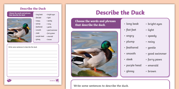 * NEW * Describe the Duck Writing Worksheet (teacher made)
