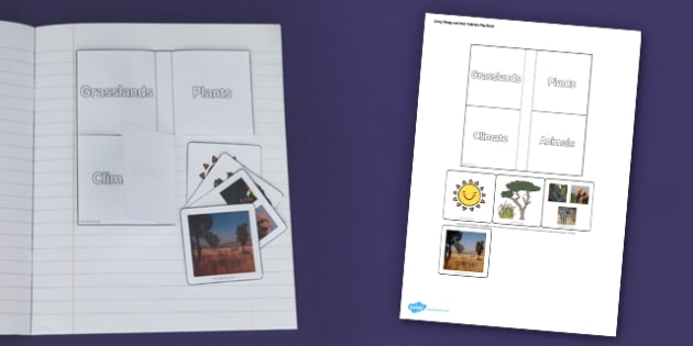 Living Things and their Habitats Grassland Flap Book - Grassland