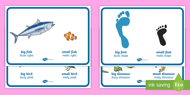 Big and Little Comparison Display Posters English/Polish - Big And Little