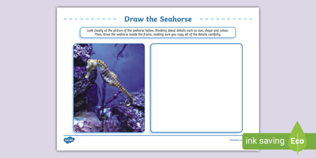 * NEW * Draw the Seahorse Activity (teacher made)