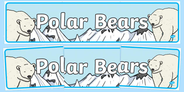 Polar Bears Display Banner (teacher made)