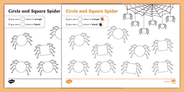 Spider Activities | twinkl.co.uk