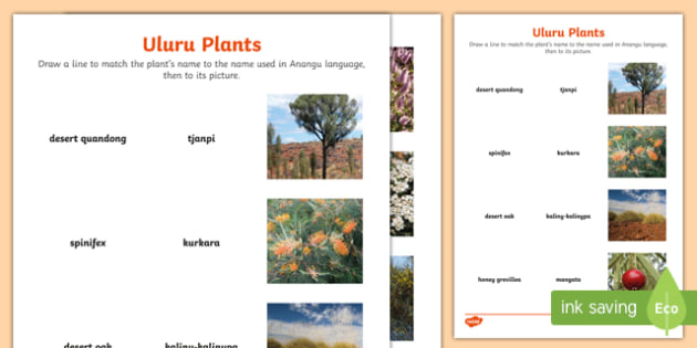 Uluru Plants Word and Picture Matching Worksheet / Worksheet