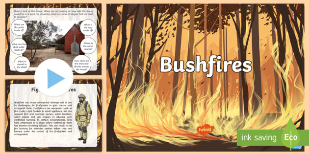 Bushfires Information PowerPoint (teacher made)