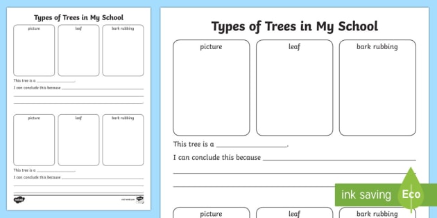 The Trees of My school Worksheet / Worksheet - ROI- National Tree Week 5th