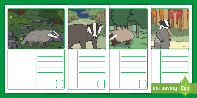 FREE! - Badger Themed Postcards (teacher made)