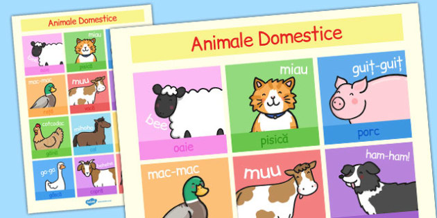 Animalele domestice - Planșă cu imagini si cuvinte
