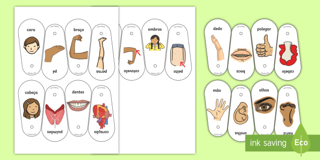 Partes do corpo, leques de comunicação (teacher made)