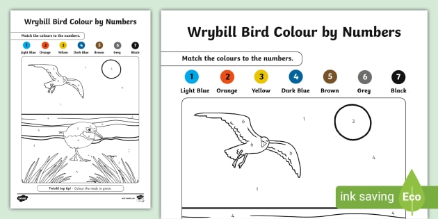 FREE! - Wrybill Bird colour by number (Teacher-Made)