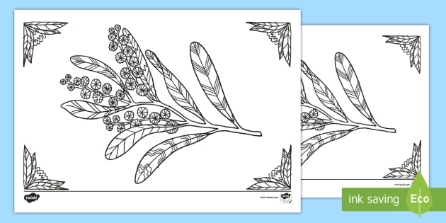 Acacia Mindfulness Colouring Page (teacher made)