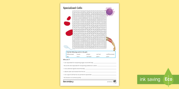 Specialised Cells Word Search (teacher made)