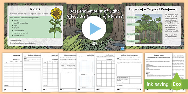Rainforest Science Investigation Activity Pack