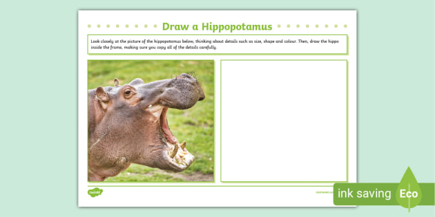 Draw a Hippopotamus Art Activity (teacher made)
