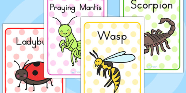 Minibeasts Cute Display Posters