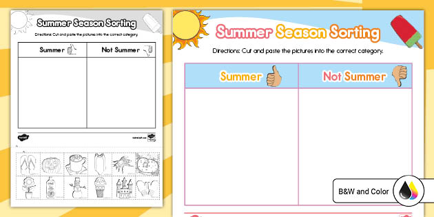 Summer Season Sorting Activity (teacher made)
