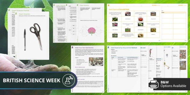 British Science Week - Growth in Plants (teacher made)