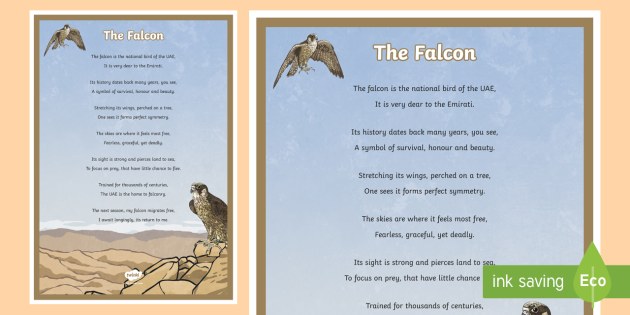 Falcon Poem Display Poster (teacher made)