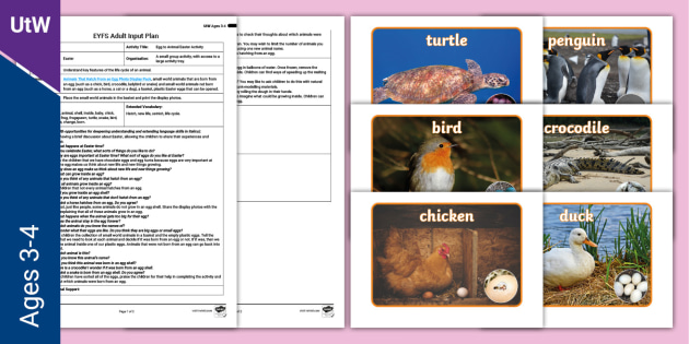 EYFS Egg to Animal Easter Adult Input Plan (teacher made)