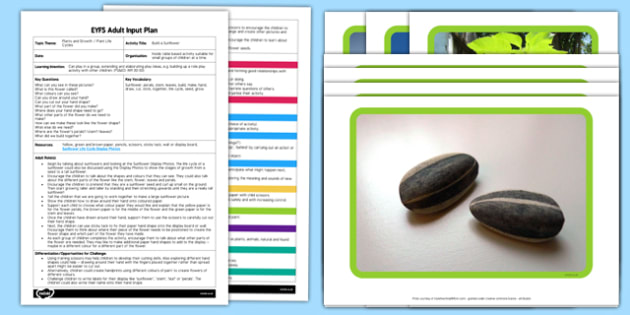 Build a Sunflower EYFS Adult Input Plan and Resource Pack
