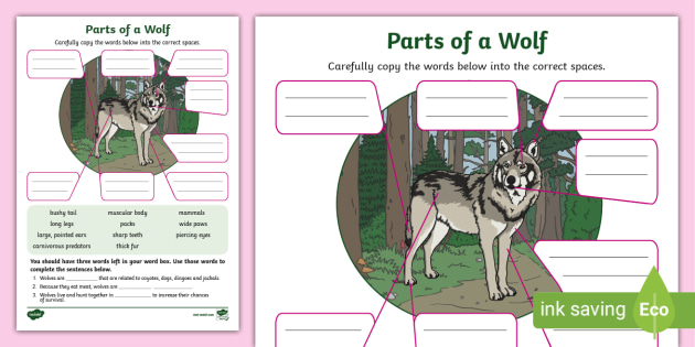 * NEW * Parts of a Wolf Labelling Activity,Wolves,Wild Animals