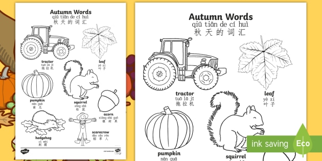 Autumn Themed Words Colouring Worksheet / Worksheet English/Mandarin
