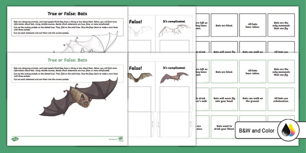 True or False: Bats Activity (teacher made)