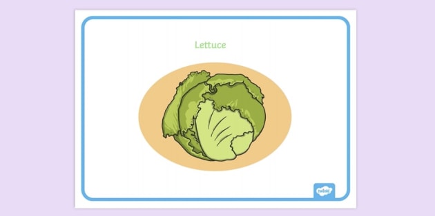 Illustrated Lettuce Poster | Twinkl Display Resources