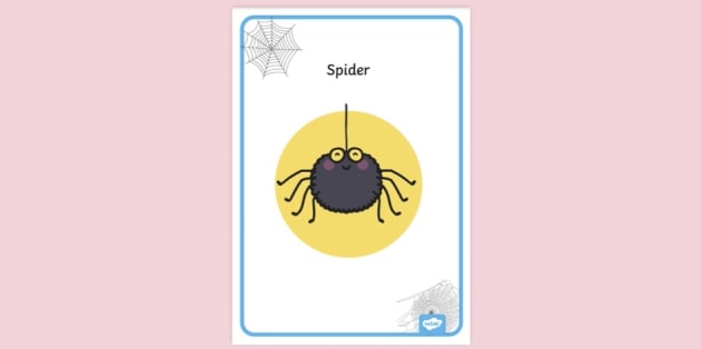 FREE! - Preschool Spider Poster Display | Primary Resources