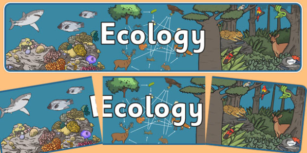 Ecology Display Banner NZ (teacher made)
