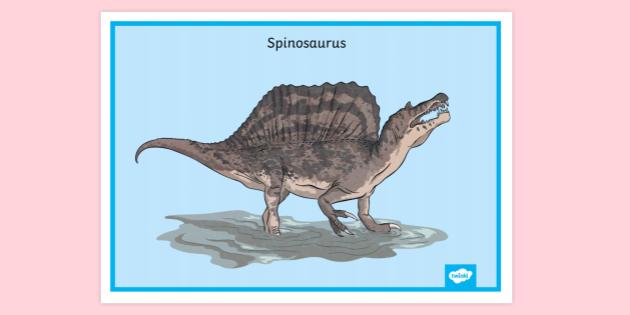 FREE! - Spinosaurus Display Poster | Primary Resources