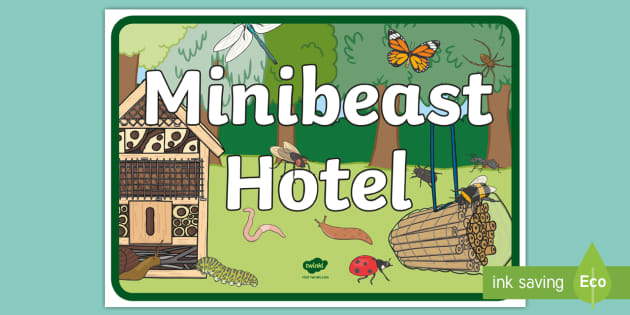 Minibeast Hotel Display Poster (teacher made)