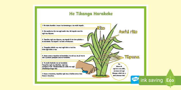 He Tikanga Harakeke - Te Reo Māori (teacher made)