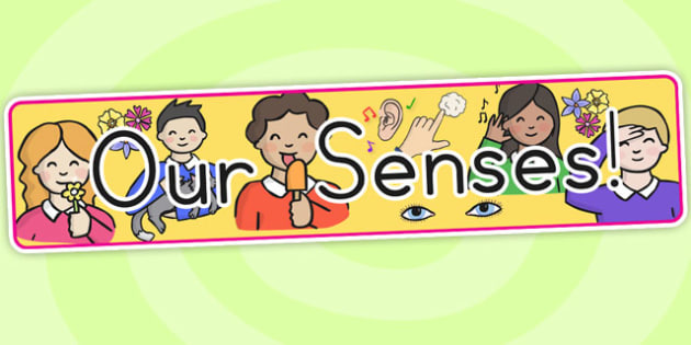Our Senses Display Banner - senses, ourselves, my body, feelings