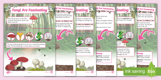 Facts About Fungi Differentiated Reading Comprehension