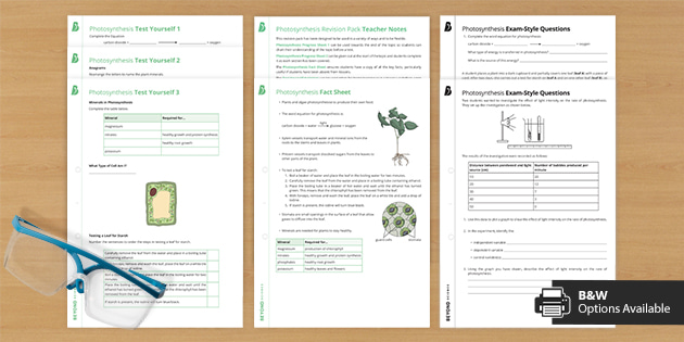 Photosynthesis Assessment Pack - Beyond Secondary Resources