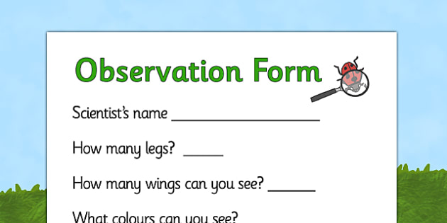 Minibeasts Investigation Lab Role Play Observation Form - Minibeasts