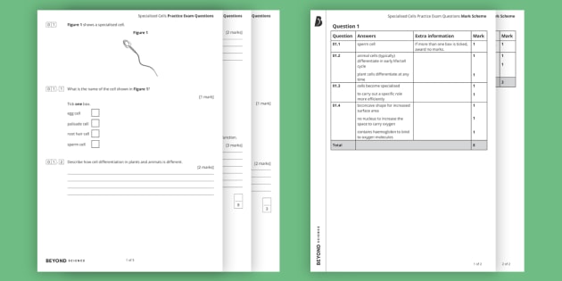 Specialised Cells Practice Exam Questions | GCSE | Beyond