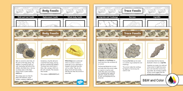 Third Grade Posters | twinkl.com