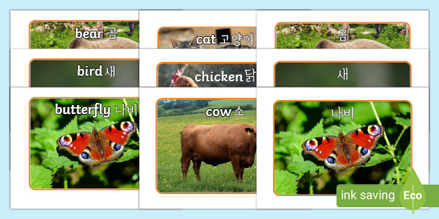 영어 기초 교재 | 어린이 동물 전시 포스터 (한,영)