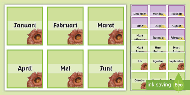 Days and Months Matching Cards Indonesian (teacher made)