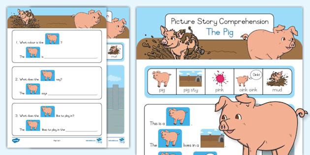 Fun Comprehensions | twinkl.com.au