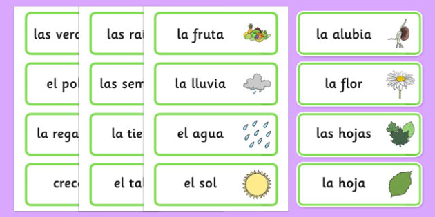 Growth Topic Word Cards Spanish (teacher made)