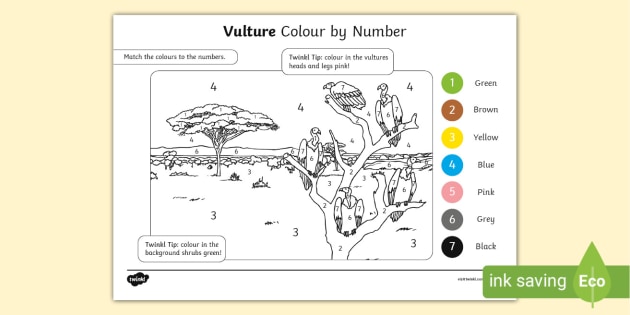 FREE! - Vulture Themed Colour by Number (teacher made)
