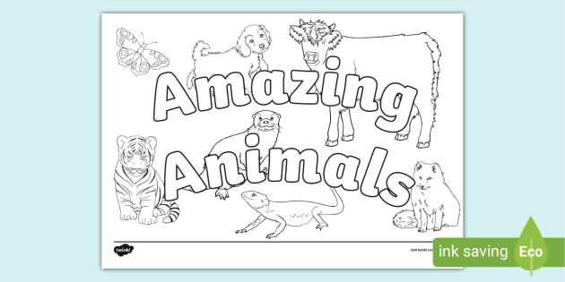 Amazing Animals Colouring Page (Teacher-Made)
