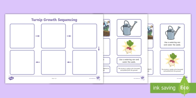 Turnip Growth Sequencing Activity - Mature plants