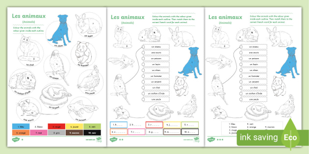 👉 French KS2 Colouring and Matching Activity Sheet: Pets